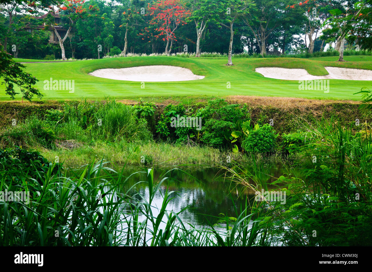 A beautiful golf course in the Philippines Stock Photo - Alamy