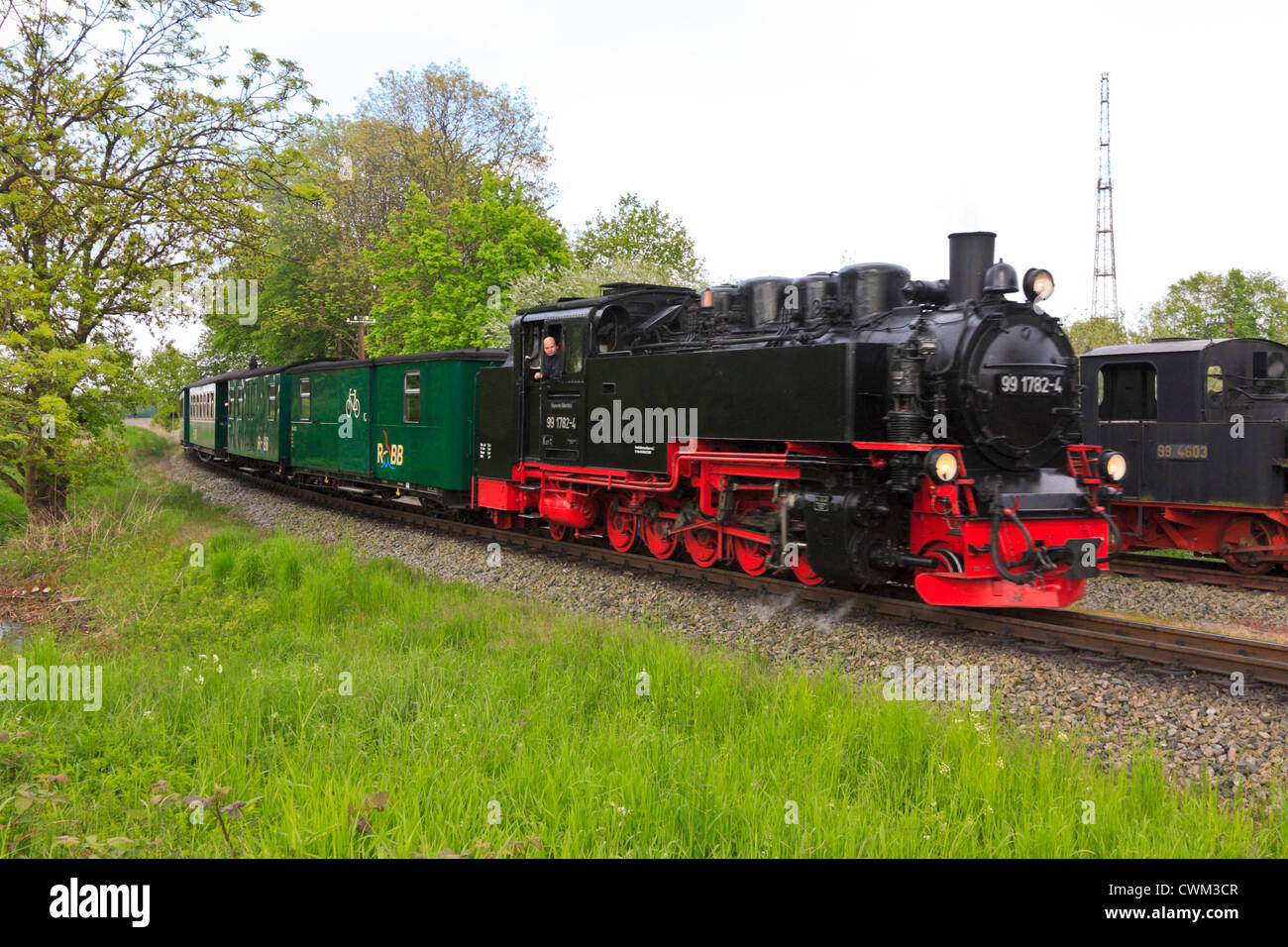 Ruegen narrow gauge railway hi-res stock photography and images - Alamy