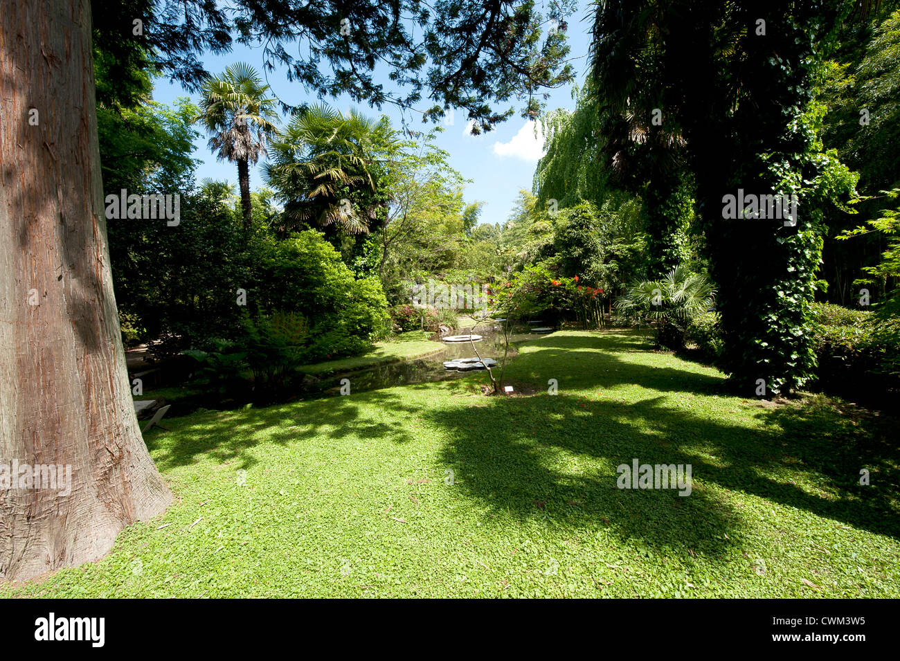 Garden at arles hi-res stock photography and images - Alamy