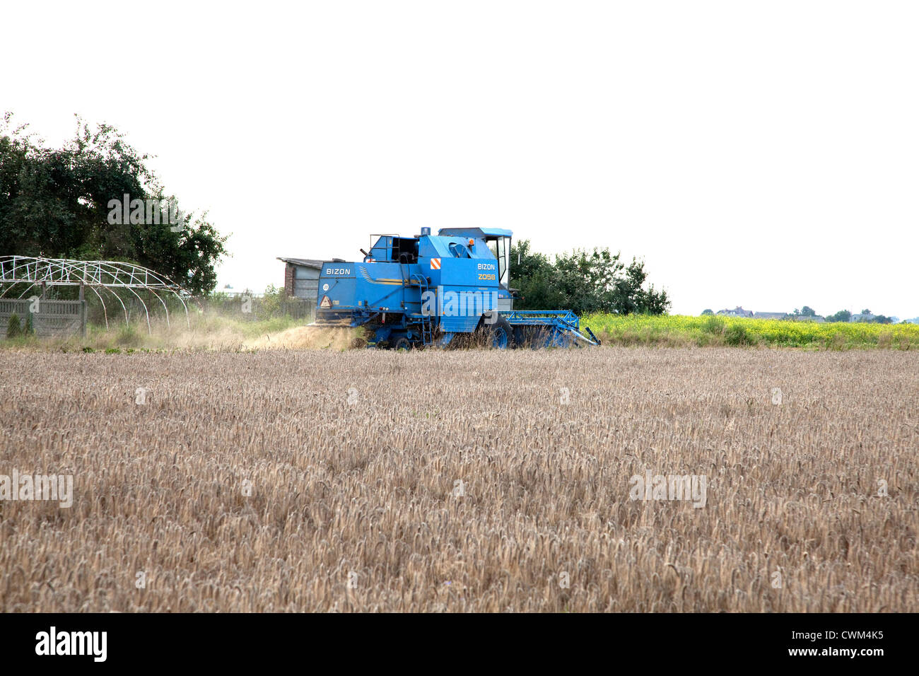 Bizon a Polish farm combine harvester implement harvesting the crops ...