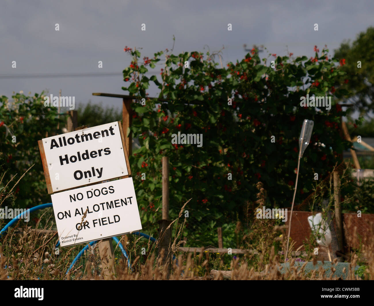 Allotment sign, Norfolk, UK Stock Photo - Alamy