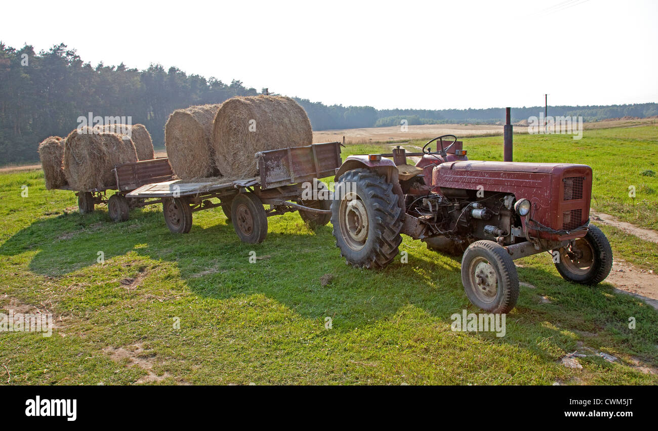 Round hay bales loaded on farmer's wagons ready to be transported by ...