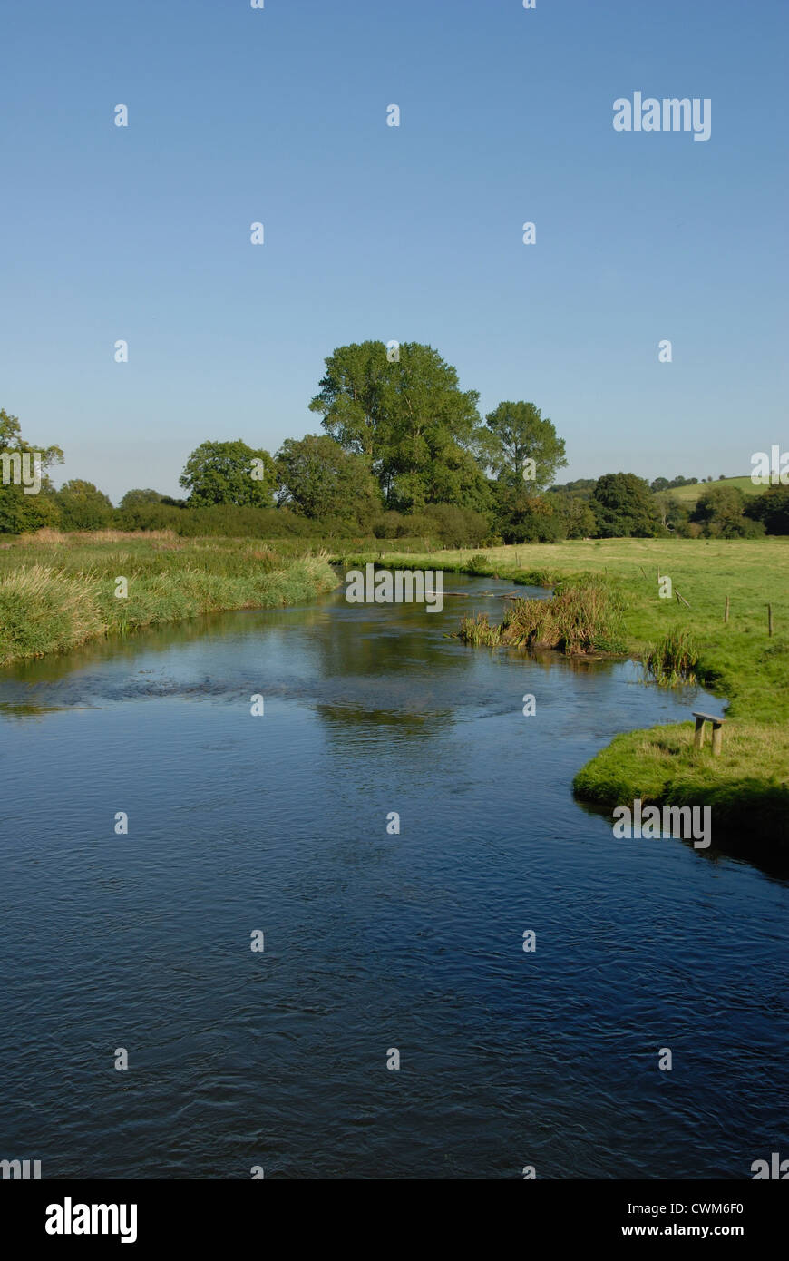 A view of the River Frome Dorset at Muckleford UK Stock Photo - Alamy