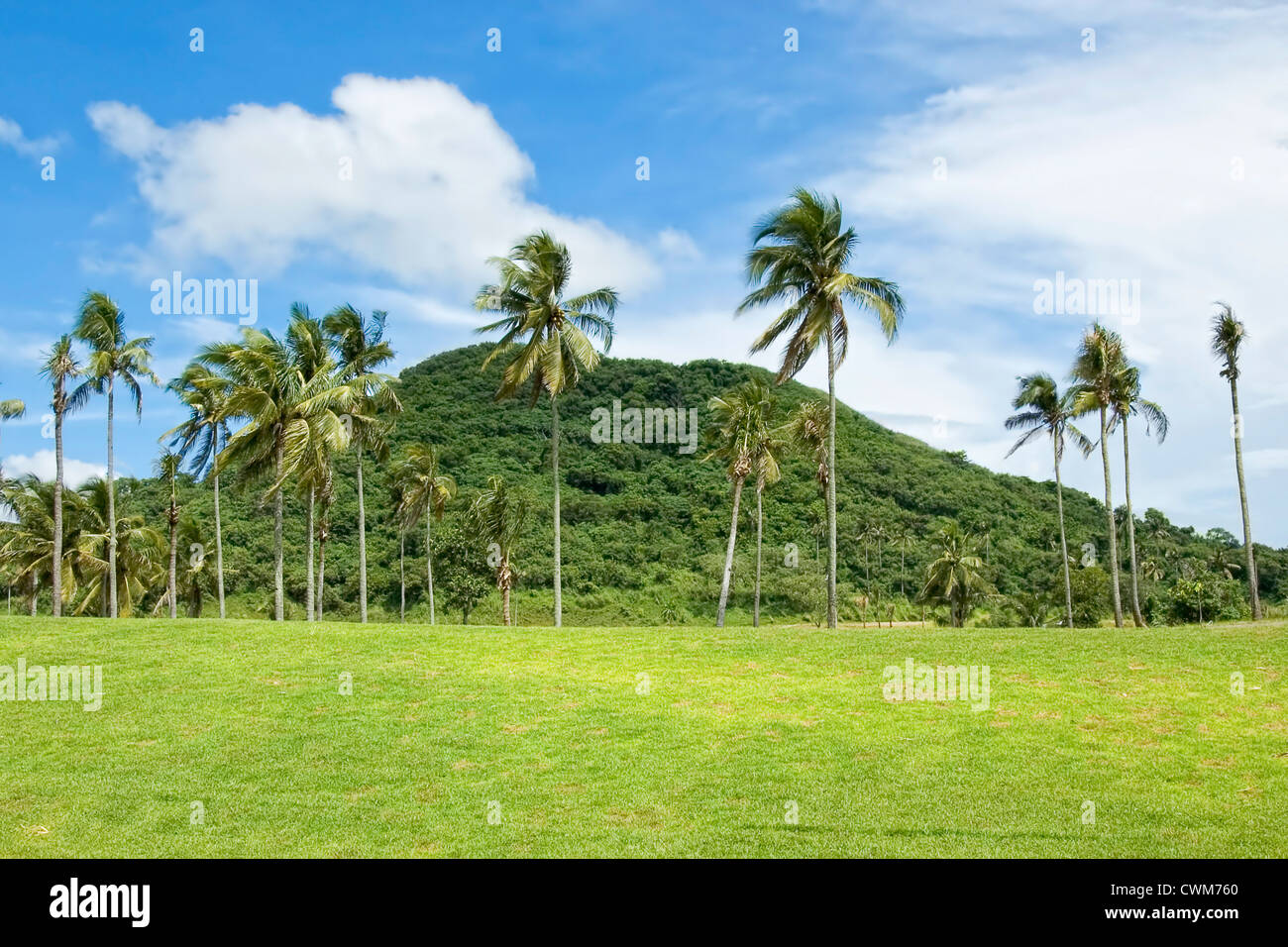 A beautiful golf course in the Philippines Stock Photo - Alamy