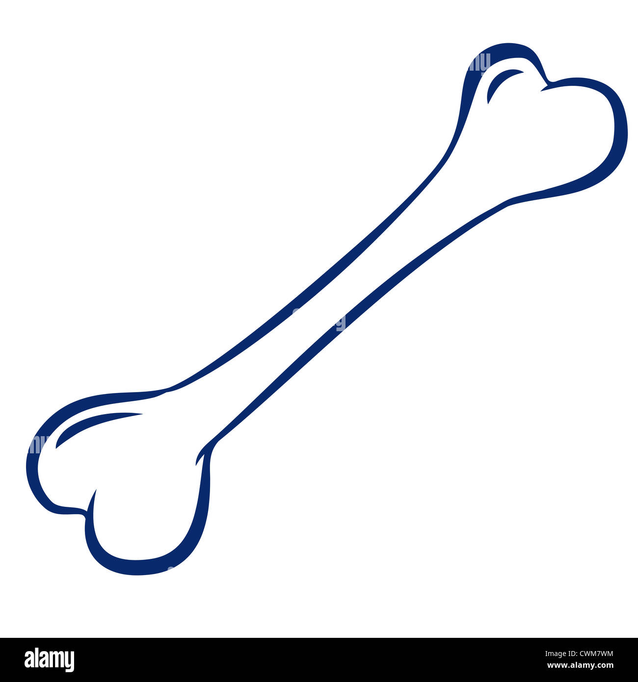 Painted bone. Illustration of the designer on white background Stock ...