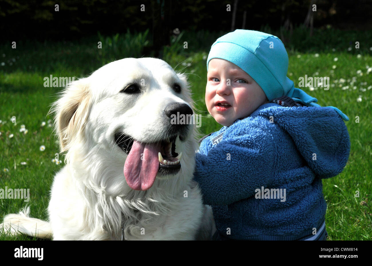 Little Boy with Dog Stock Photo - Alamy