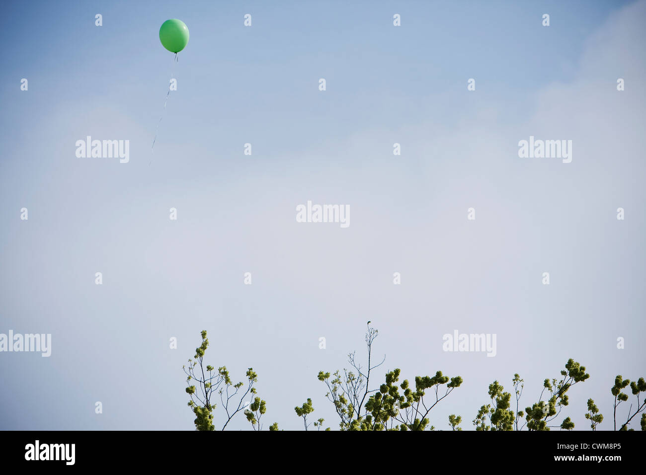 Netherlands, Utrecht, Green balloon in sky over tree Stock Photo - Alamy