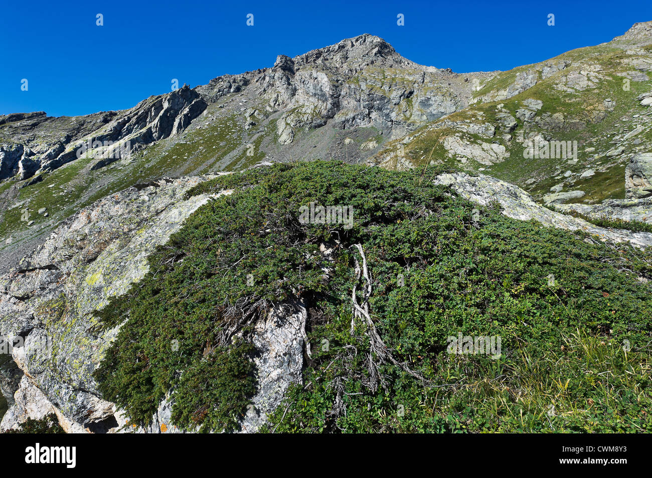 mountains of the Susa valley, Piedmont, Italy Stock Photo - Alamy