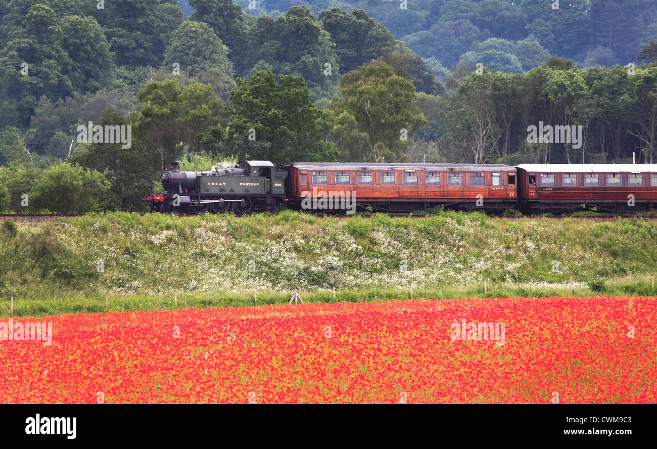 Gwr prairie tank steam locomotive hi-res stock photography and images ...