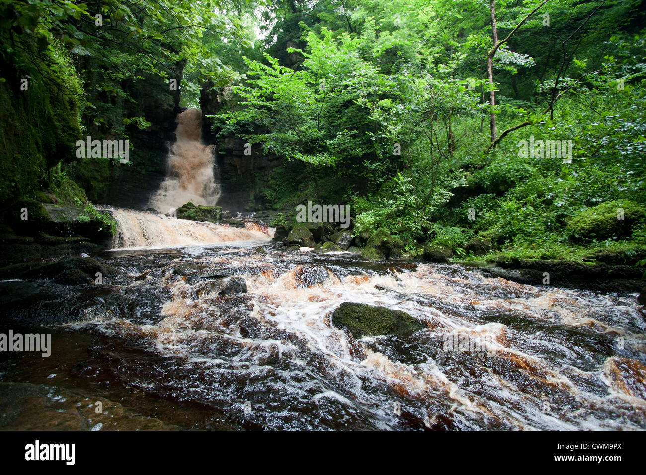 Mill Gill Force waterfall near Askrigg in the Yorkshire Dales Stock ...