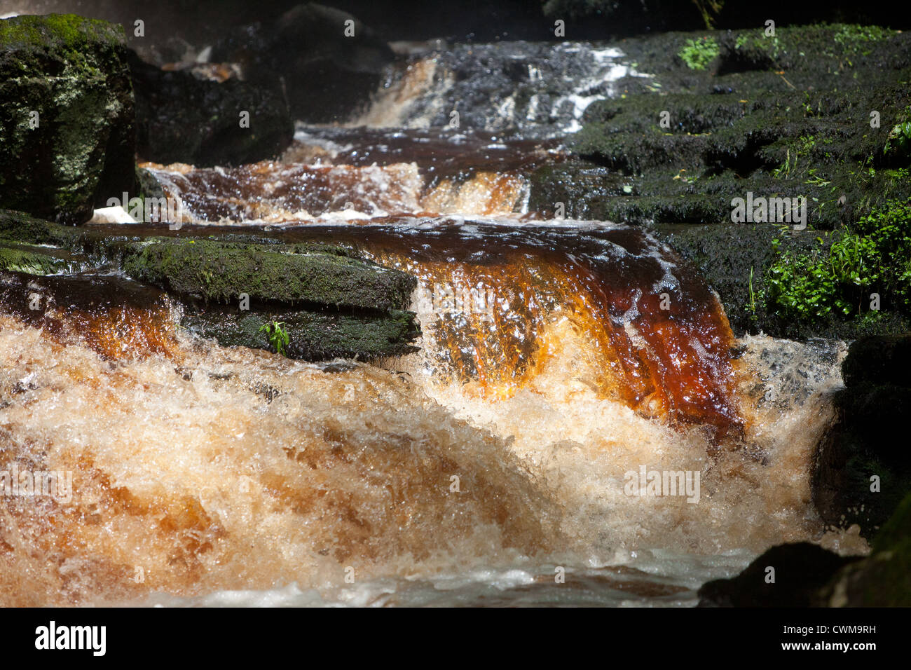 River water flowing over the rocks at the rapids Stock Photo - Alamy