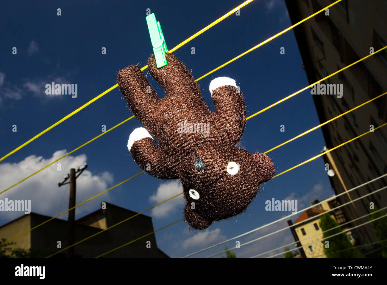 Teddy Bear Hanging Stock Photo - Alamy