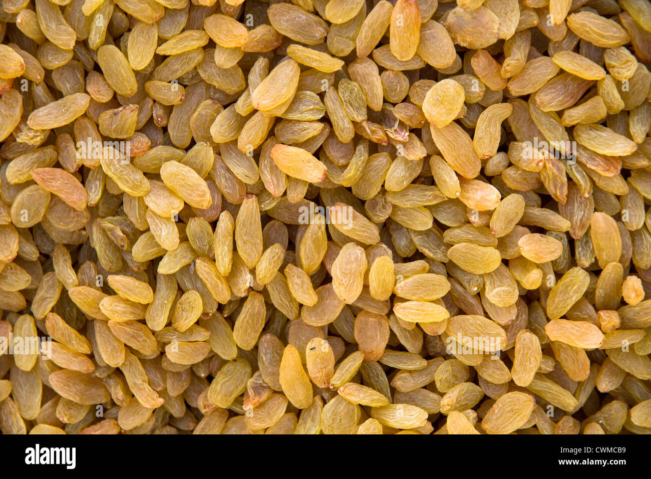 India, Jodhpur, Background of raisins Stock Photo - Alamy