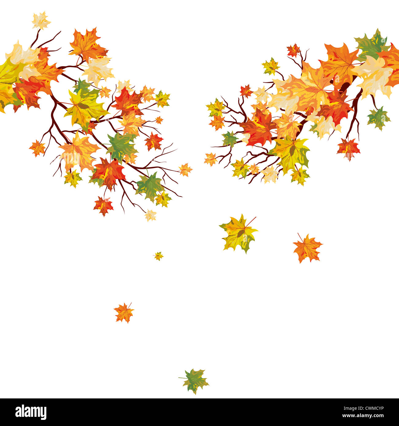 Autumn maple tree with falling leaves. Vector illustration Stock Photo ...