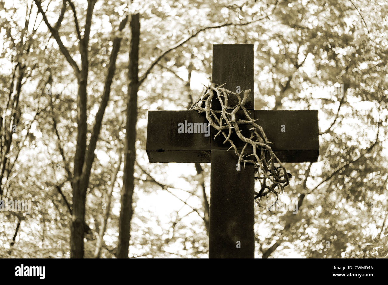 Thorn and cross hi-res stock photography and images - Alamy