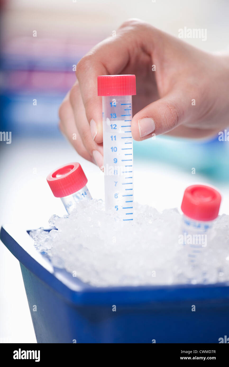 Germany, Bavaria, Munich, Scientist storing test samples in ice Stock ...