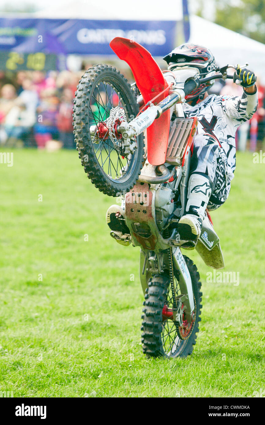 Bolddog lings fmx display team hi-res stock photography and images - Alamy