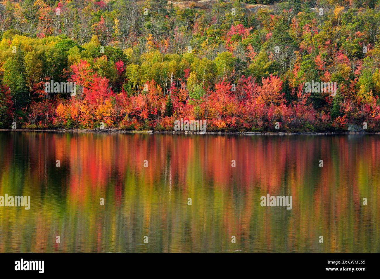 Autumn reflections in St. Pothier Lake, Greater Sudbury, Ontario ...