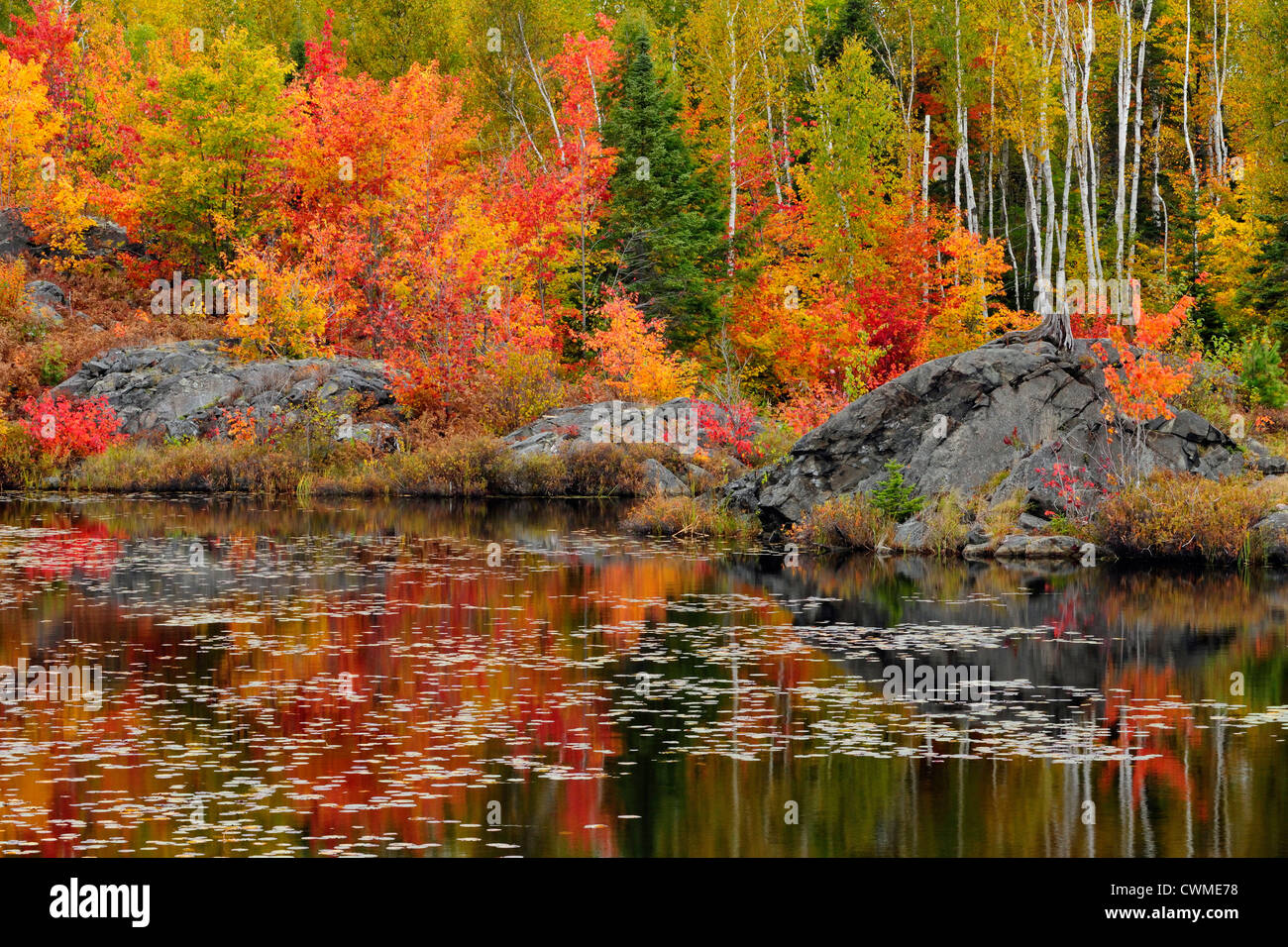 Elliot lake ontario hi-res stock photography and images - Alamy