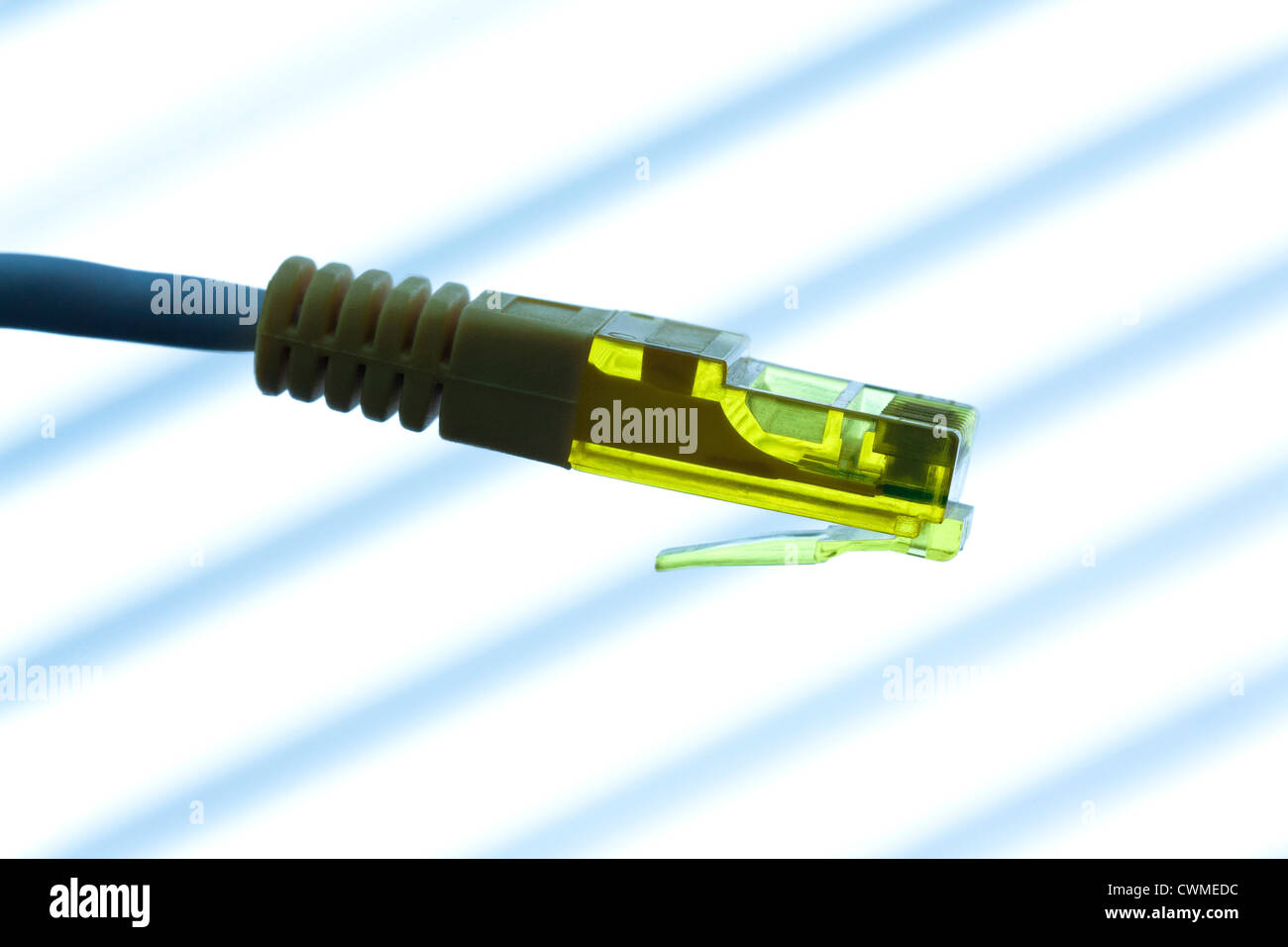 Ethernet RJ45 plug connector for Local Area Networks Stock Photo - Alamy