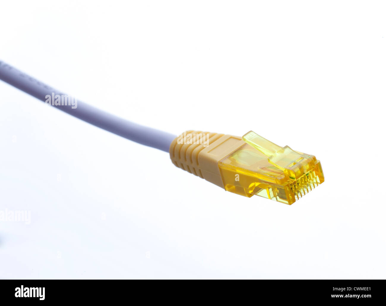 Ethernet RJ45 plug connector for Local Area Networks Stock Photo - Alamy
