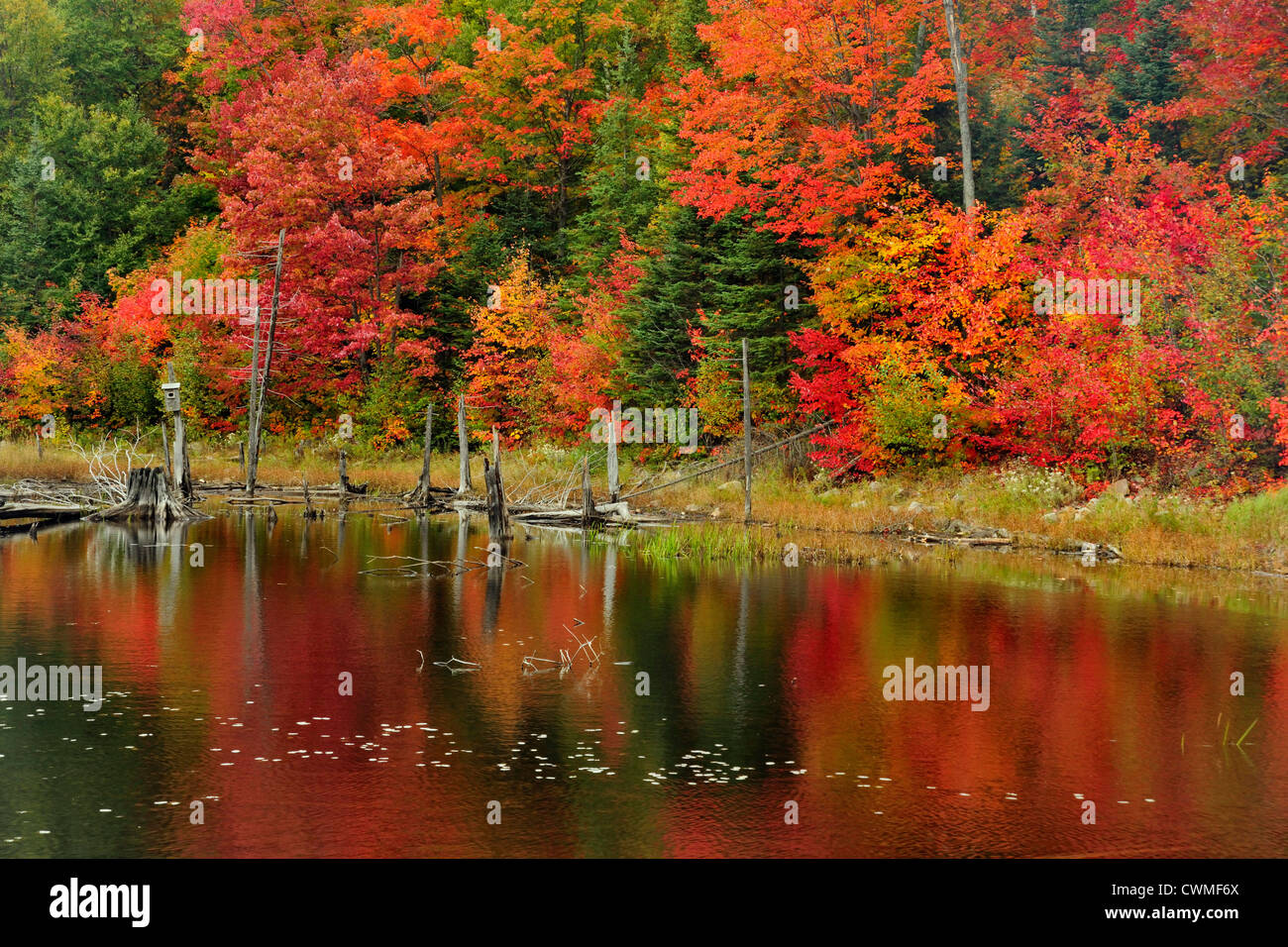 Elliot lake ontario hi-res stock photography and images - Alamy