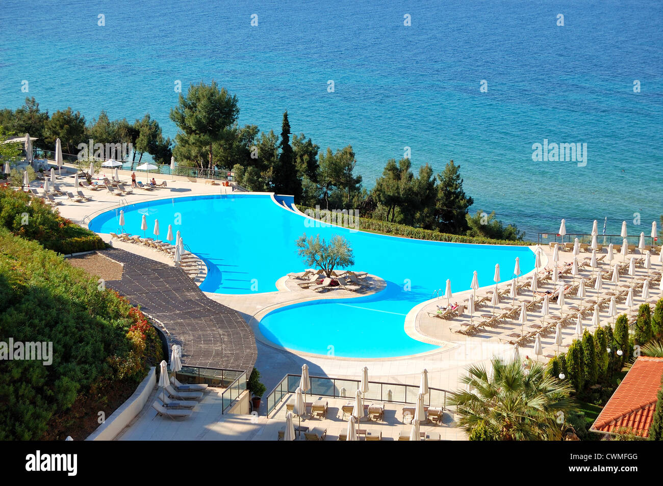 Swimming pool with olive tree in the middle at the modern luxury hotel ...