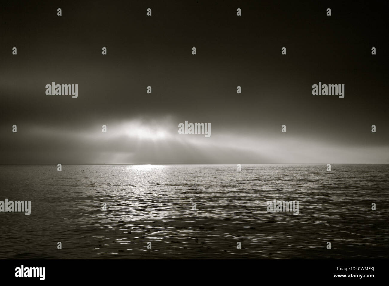 Shades of gray hi-res stock photography and images - Alamy