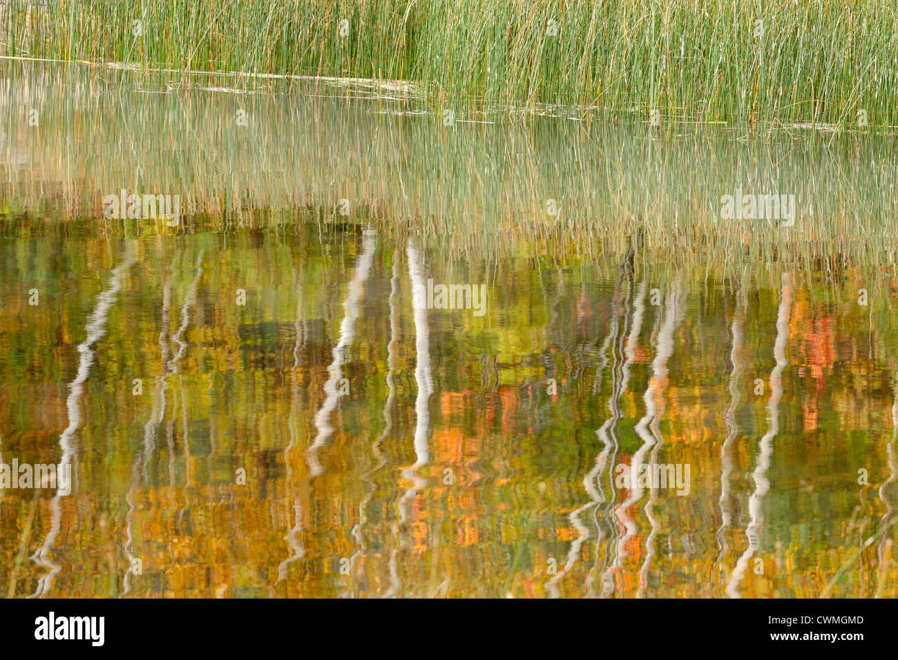 Autumn reflections in Vermilion River (McCharles Lake), Greater Sudbury ...