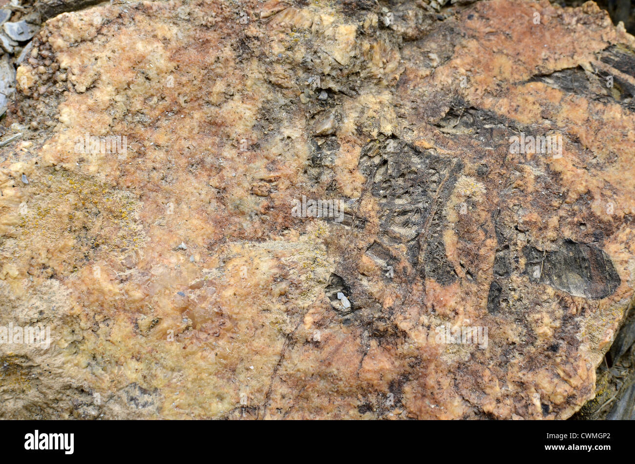 Cornwall - shoreline rock texture wallpaper background in region ...