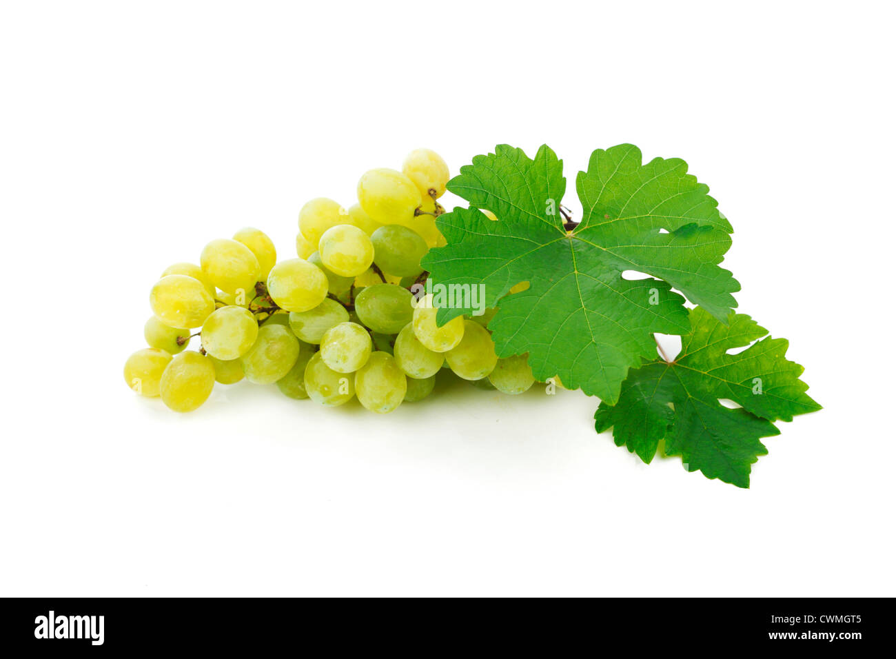 Grapes branch with leaves isolated on white background Stock Photo - Alamy