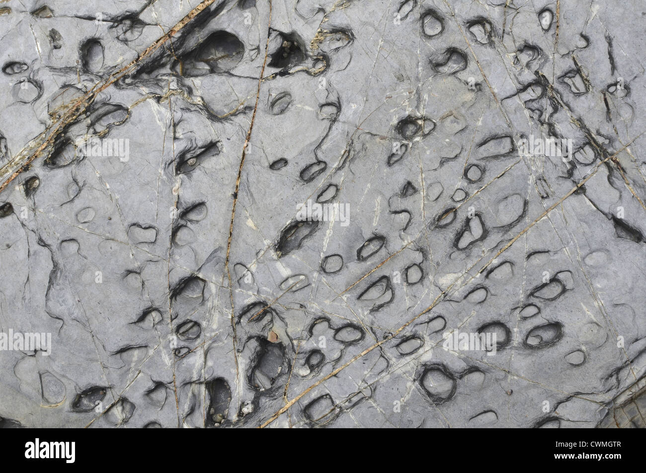 Cornwall - shoreline rock texture wallpaper background in region ...