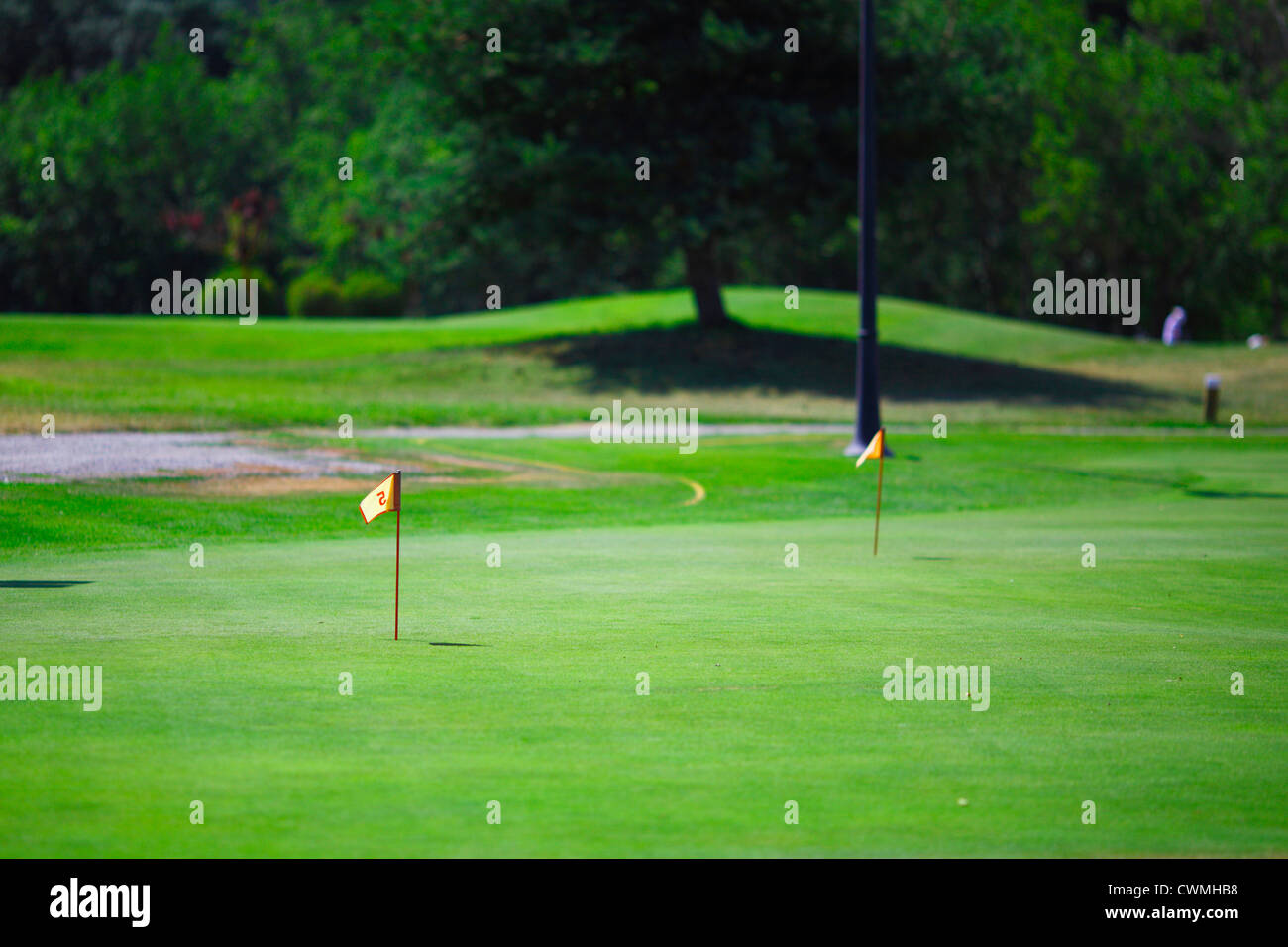 Flag and the golf field Stock Photo - Alamy