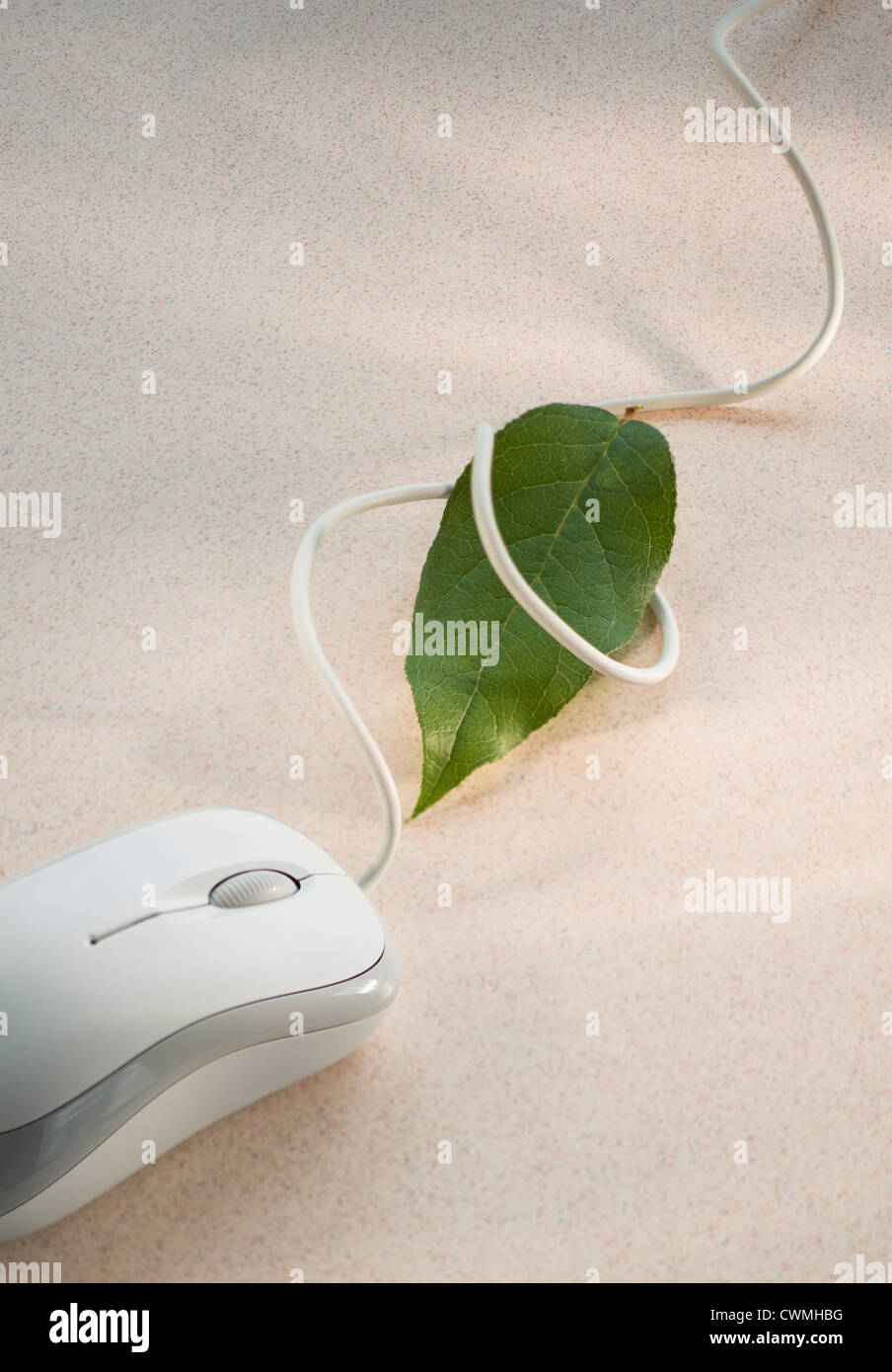 Computer mouse with green leaf Stock Photo - Alamy