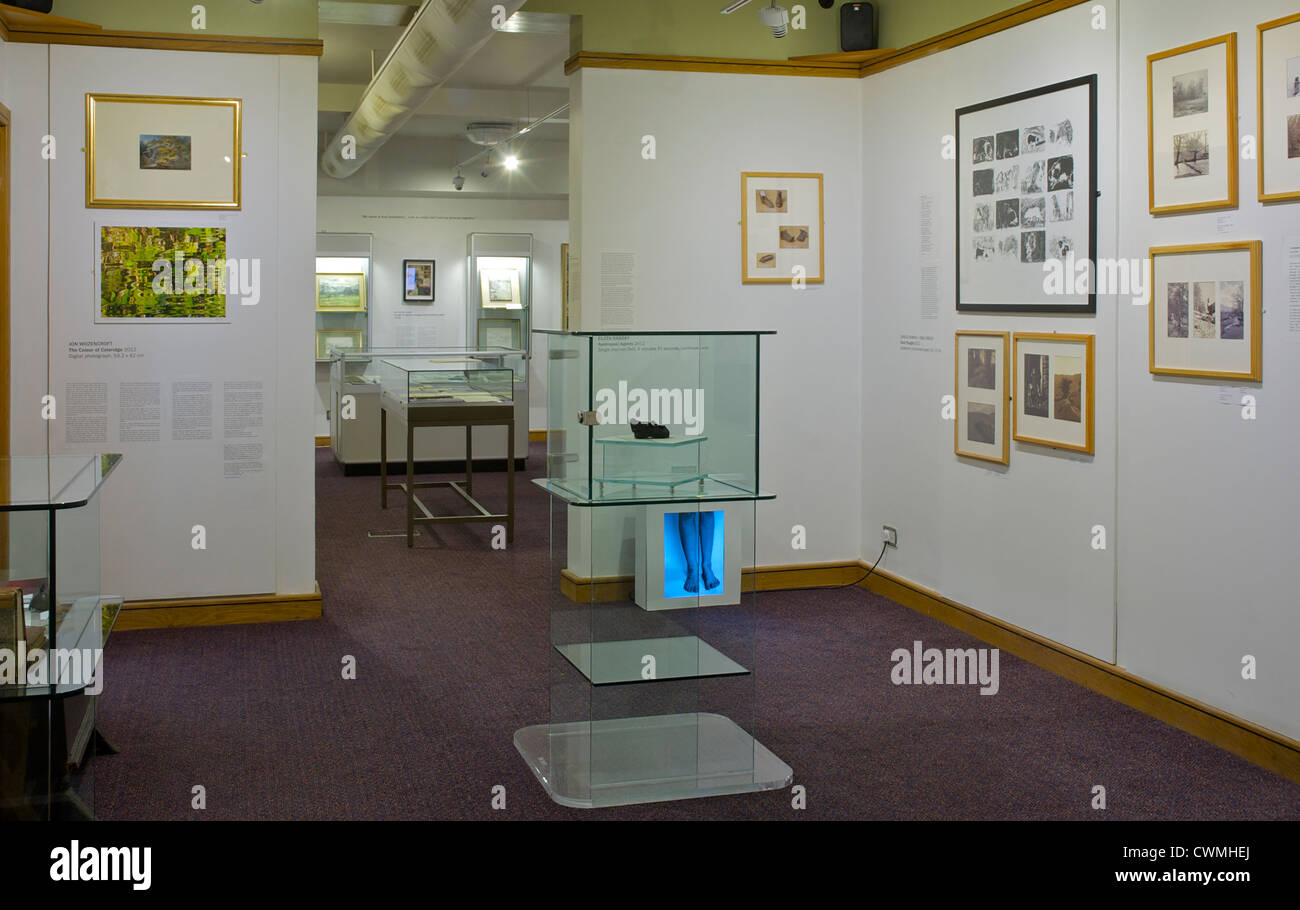 The armitt museum hi-res stock photography and images - Alamy