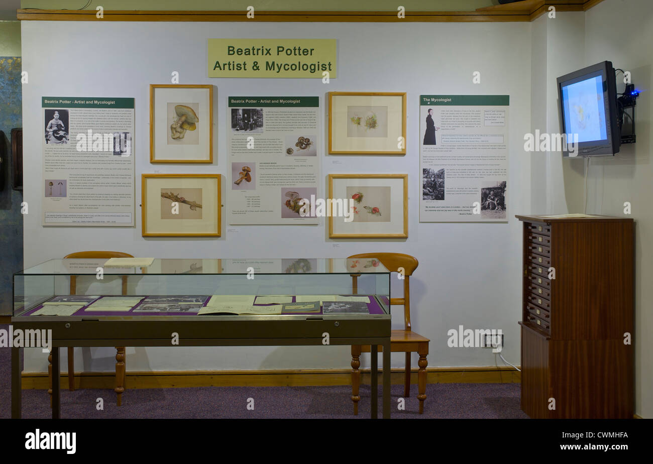 The armitt museum hi-res stock photography and images - Alamy