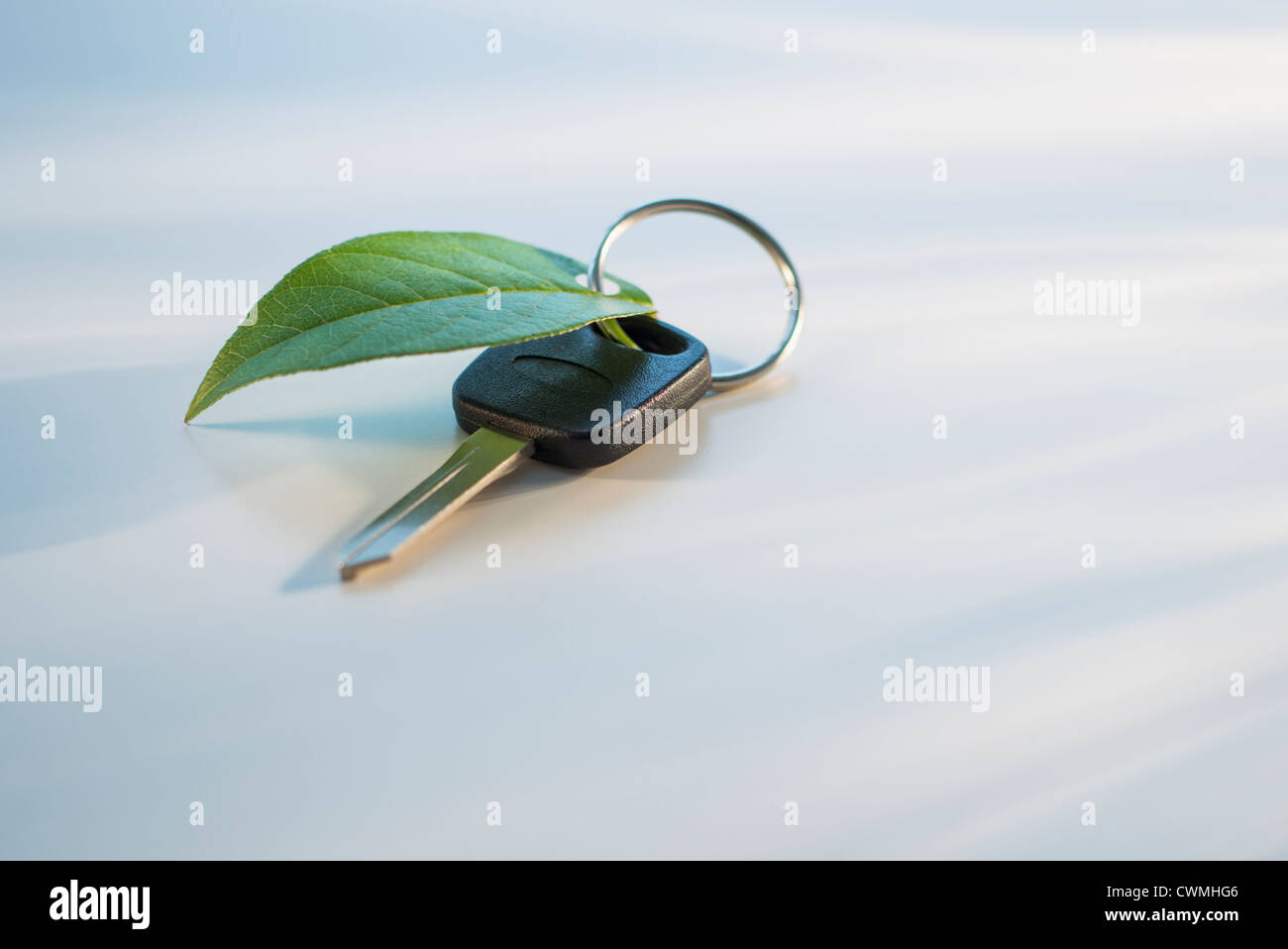 Studio shot of car key with ring and green leaf Stock Photo - Alamy