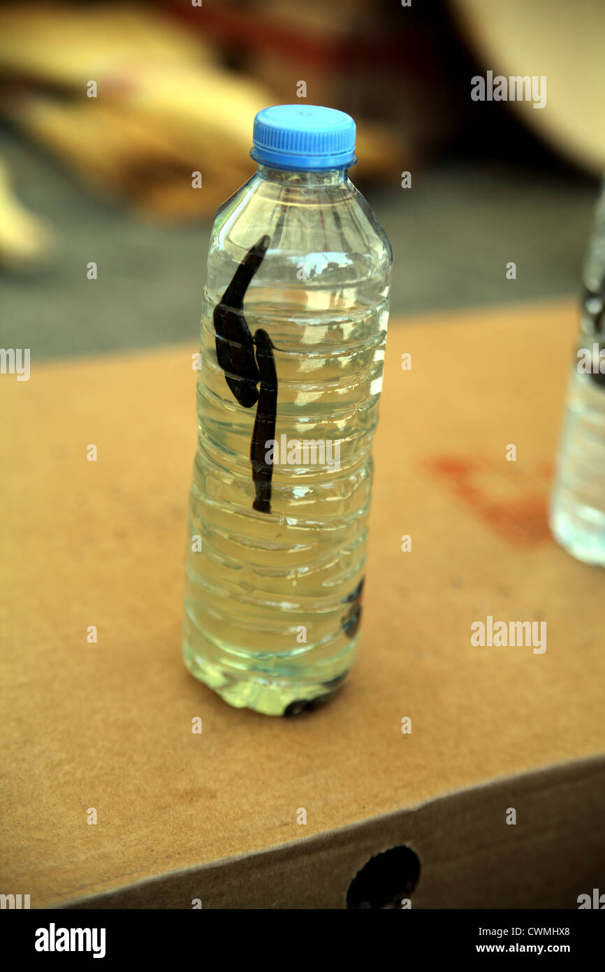 Leeches medicine hi-res stock photography and images - Alamy