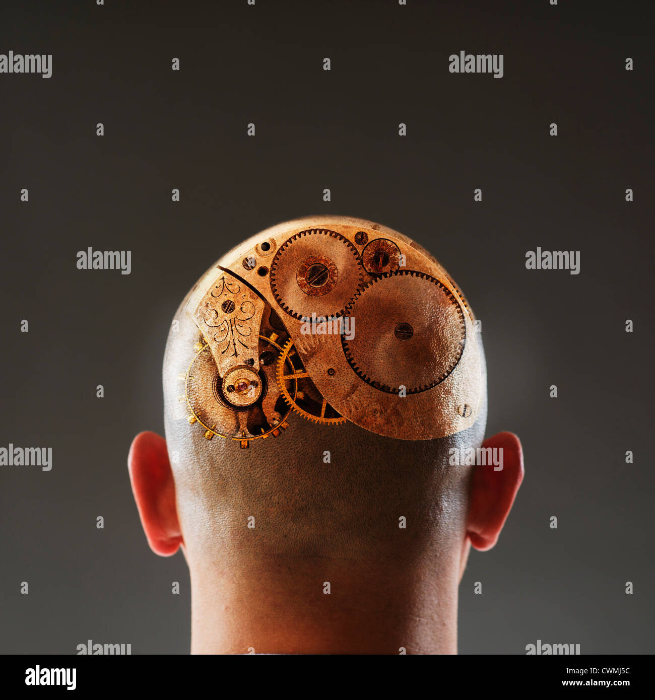 Head gears thinking intelligence hi-res stock photography and images ...