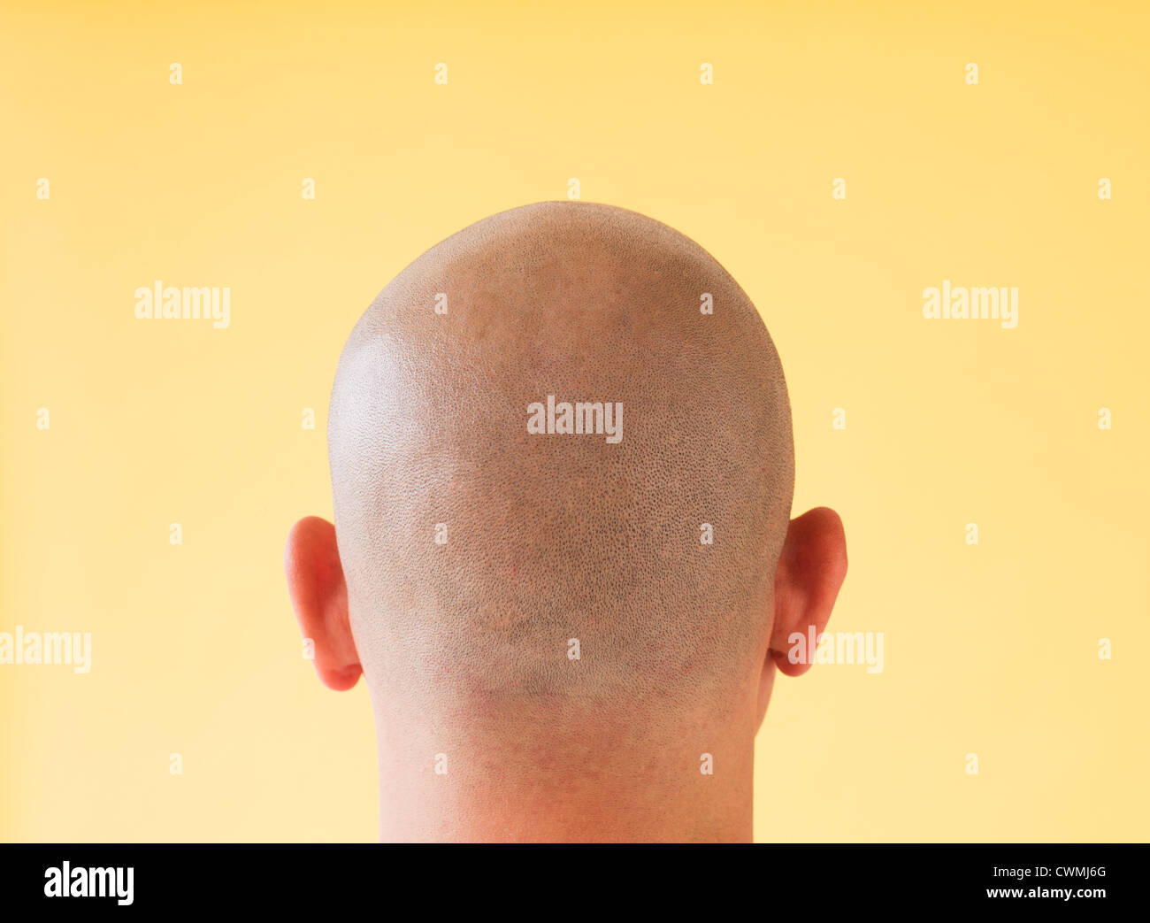 Studio shot of man's shaved head Stock Photo - Alamy