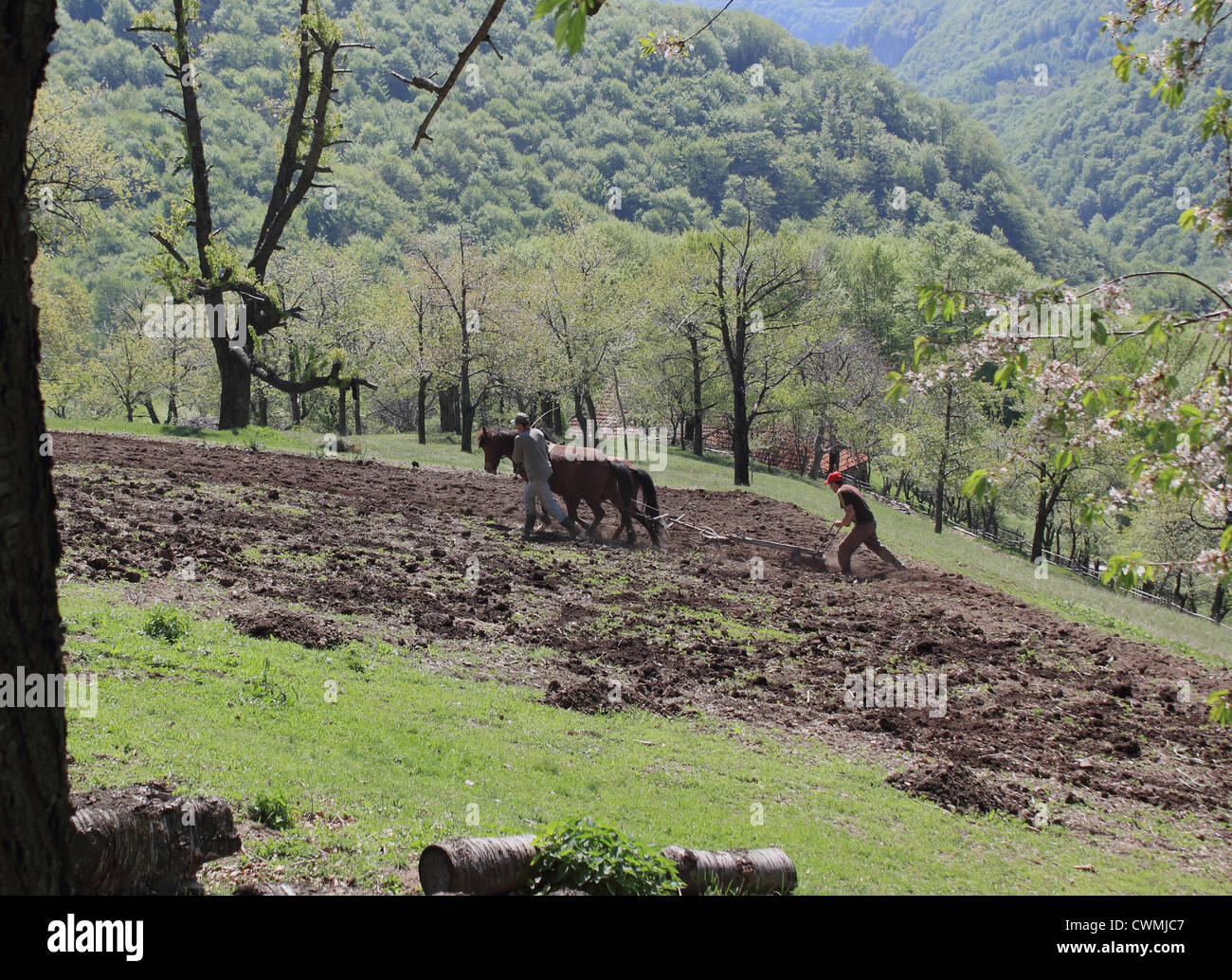 Romania farming hi-res stock photography and images - Alamy