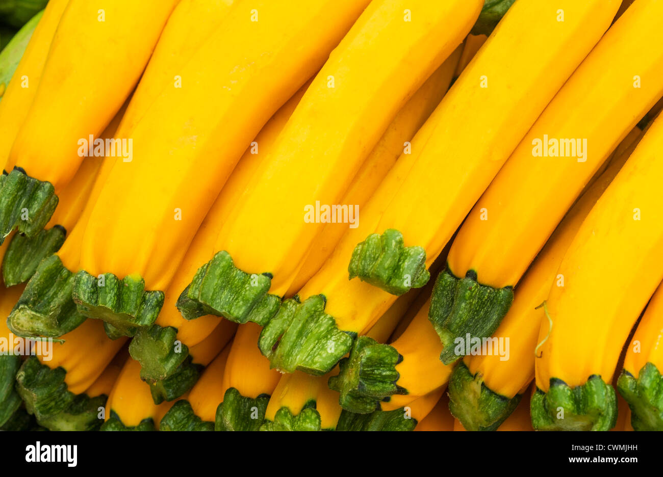 'yellow squash' hi-res stock photography and images - Alamy