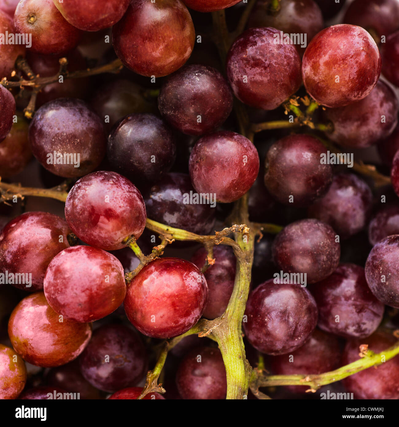 USA, New York City, Fresh pink grapes Stock Photo - Alamy