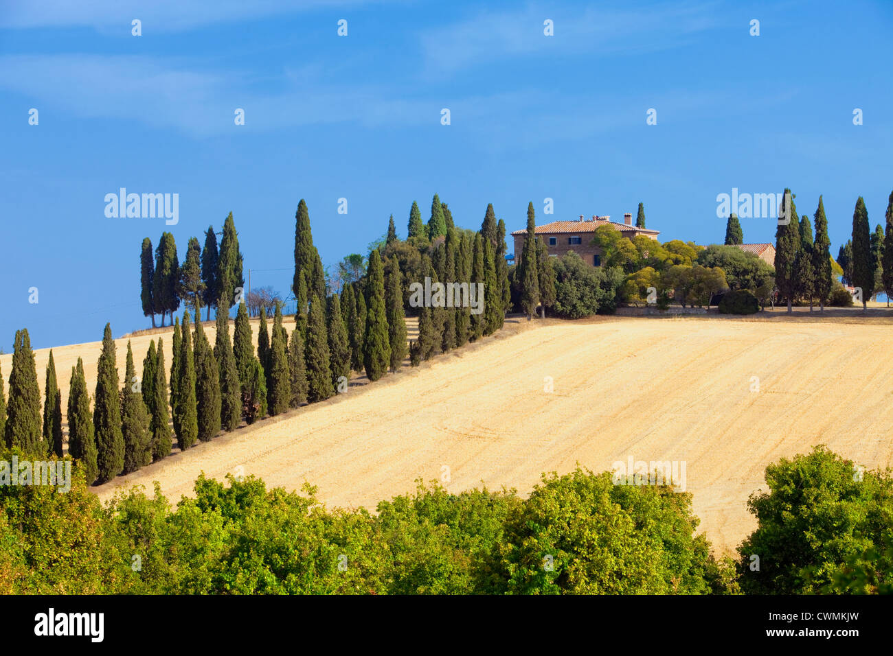 Farm with cypress trees hi-res stock photography and images - Alamy