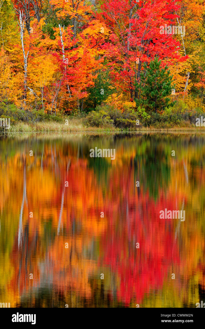 Espanola ontario hi-res stock photography and images - Alamy
