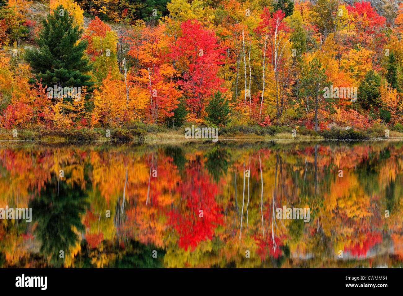 Autumn reflections in Gryphon Lake, Espanola, Ontario, Canada Stock ...