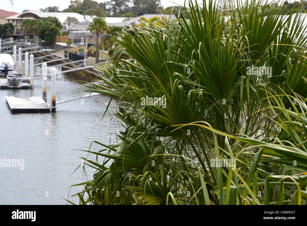 Palm canal hi-res stock photography and images - Alamy