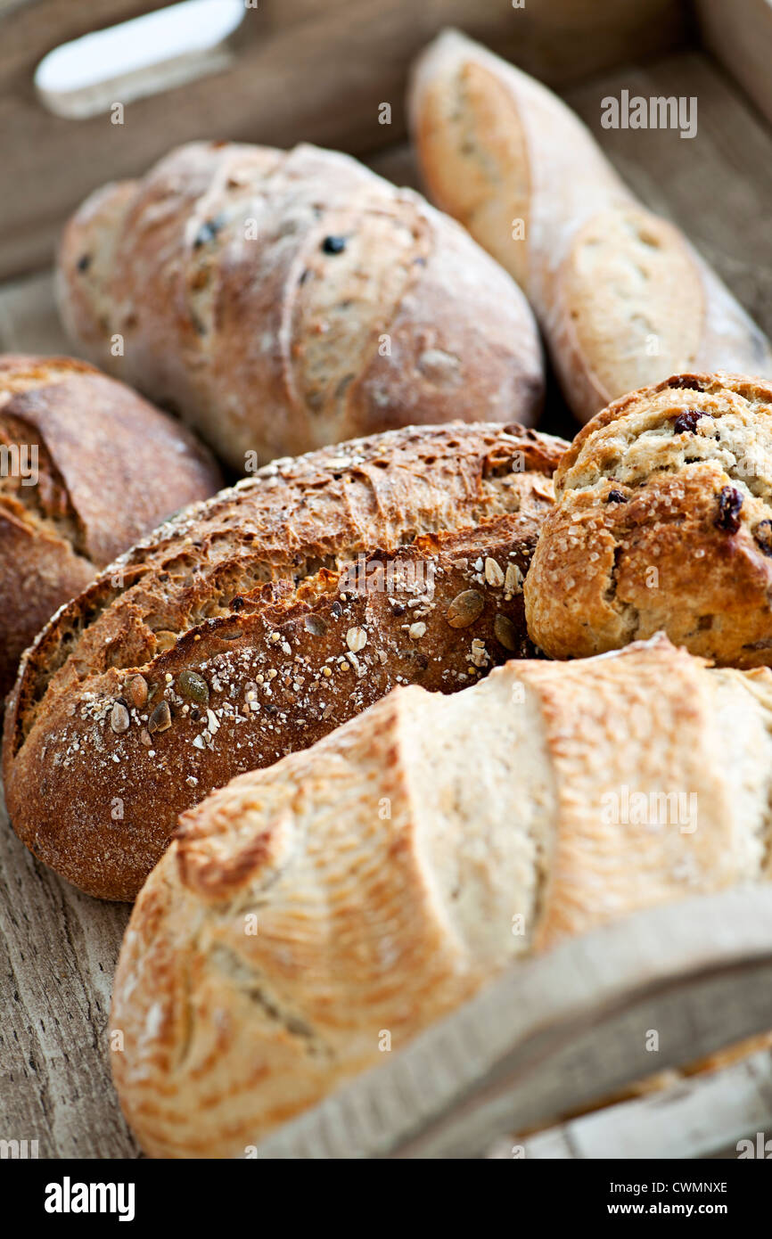 Various Bread Loaves Stock Photos & Various Bread Loaves Stock Images ...