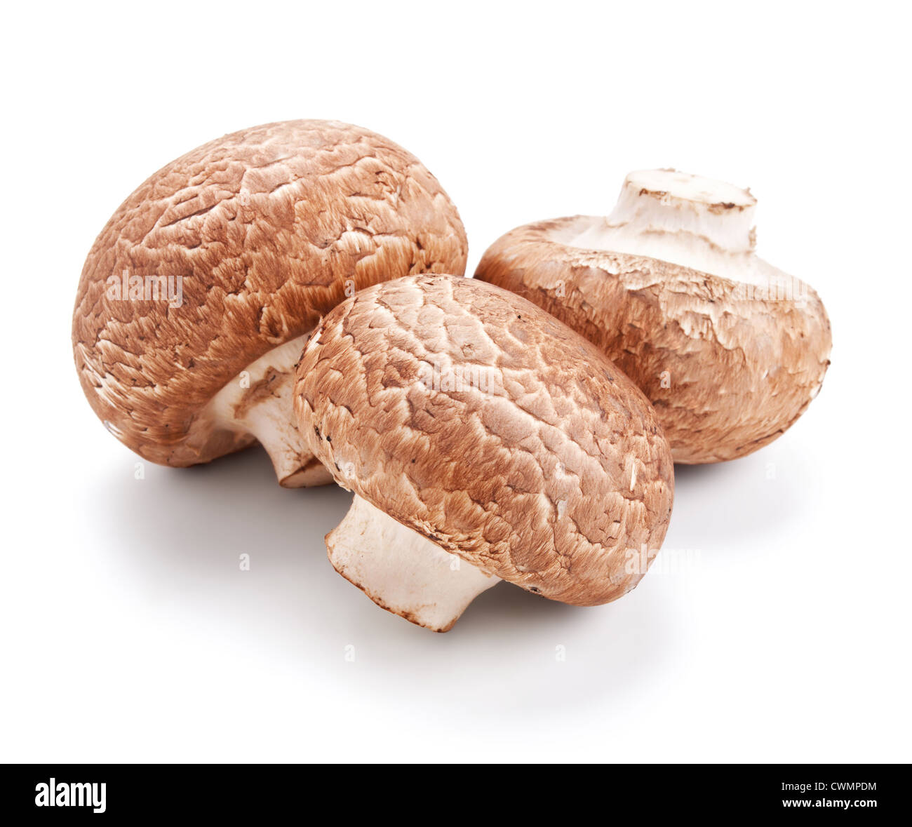 fresh mushroom champignons isolated on white background Stock Photo - Alamy