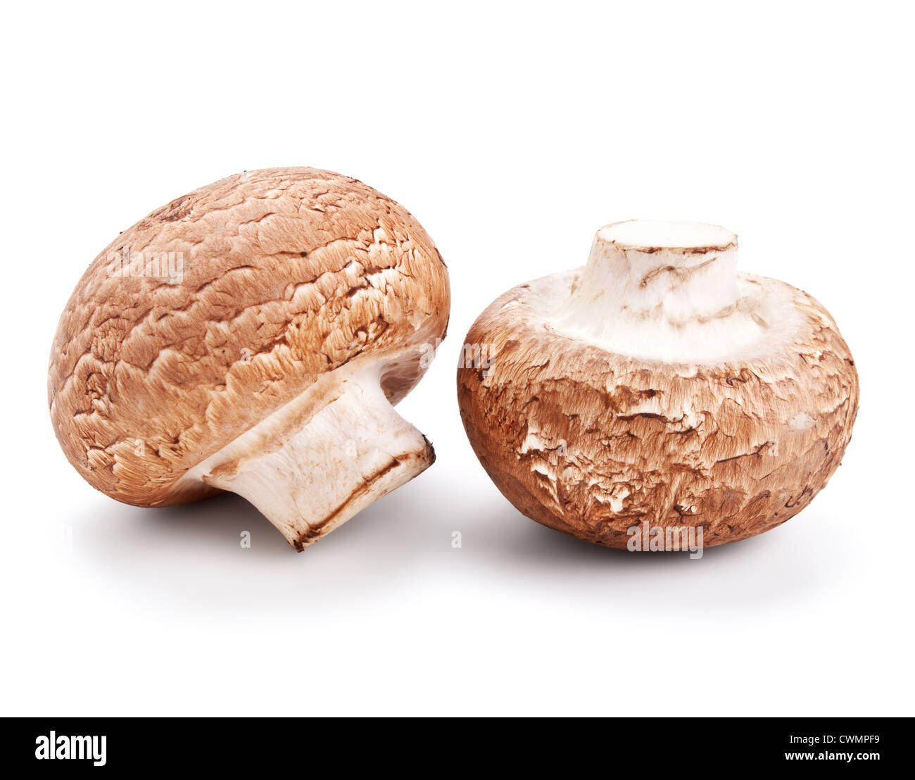 fresh mushroom champignons isolated on white background Stock Photo - Alamy
